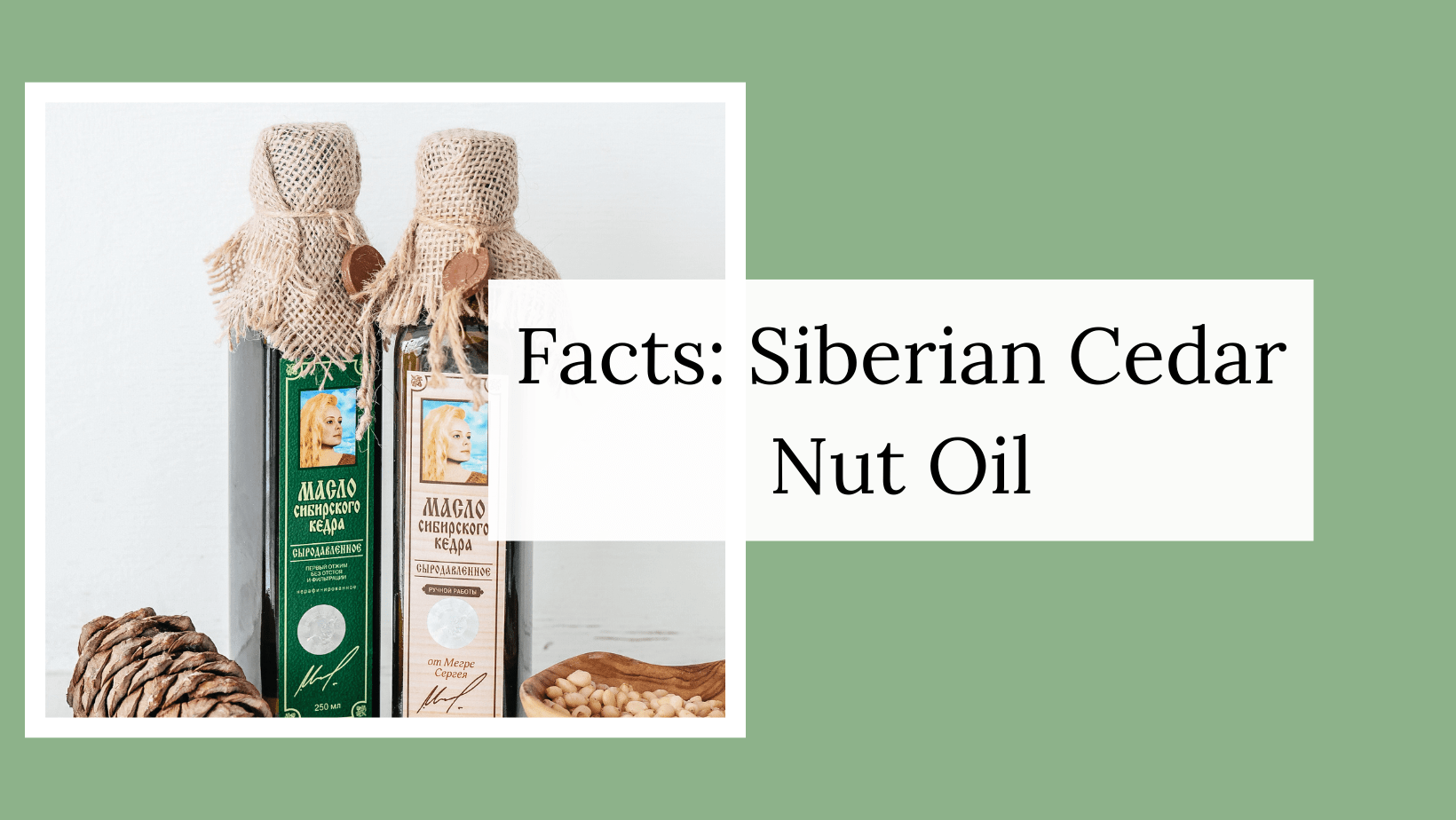Facts: Siberian Cedar nut oil - MegreLLC