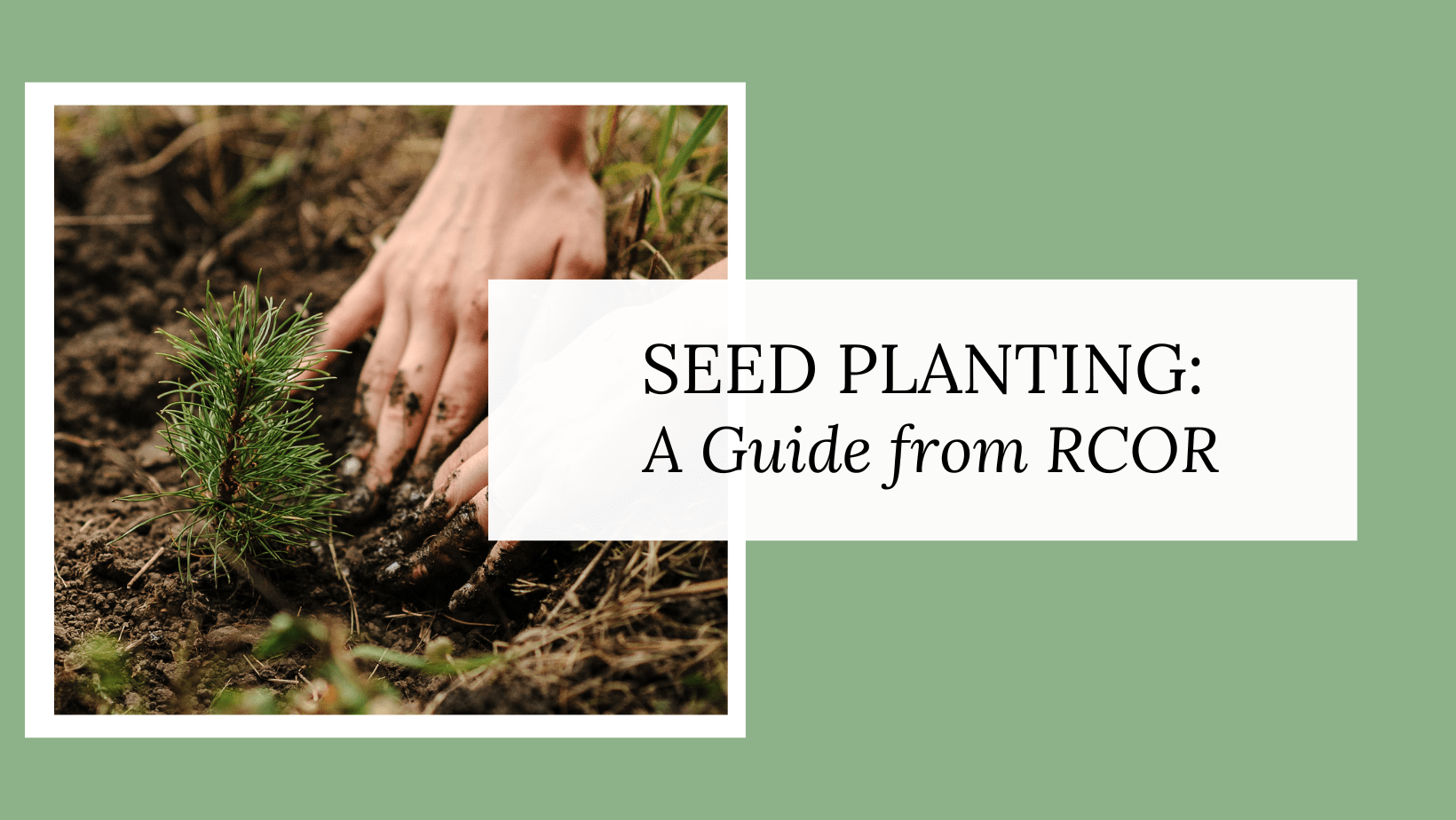 Planting Guide from Ringing Cedars of Russia - MegreLLC