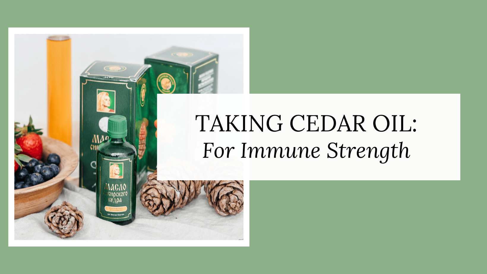 How to take Cedar Oil to Strengthen the Immune System