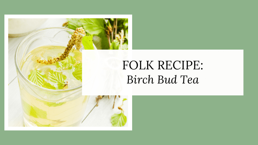FOLK RECIPE: Birch Bud Tea - MegreLLC