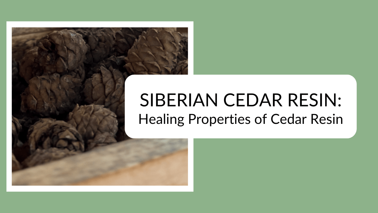 Siberian Cedar Resin: The Benefits of Nature's Healing Gift - MegreLLC